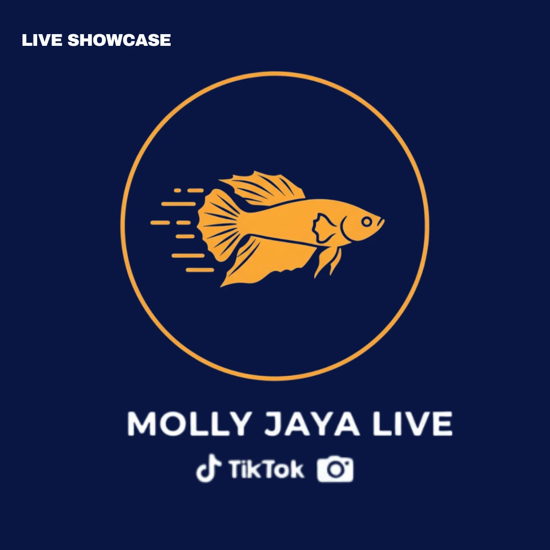 Etalase Live TikTok - Molly Jaya Indonesia